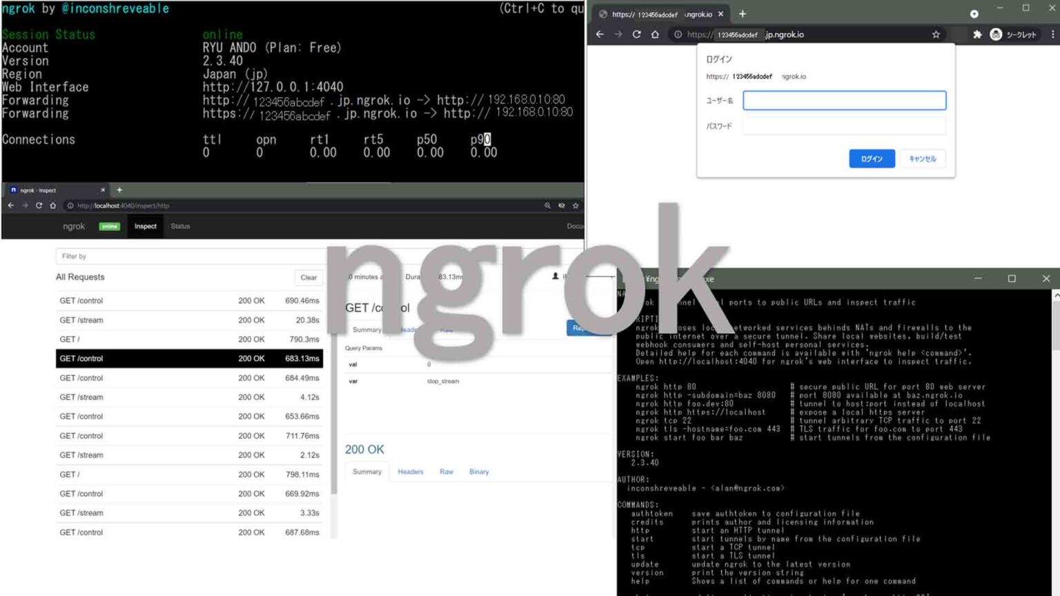 ngrokインストール方法と簡単な使い方 | mgo-tec電子工作