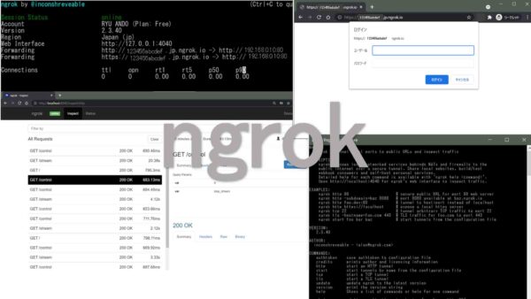 ngrokインストール方法と簡単な使い方 | mgo-tec電子工作