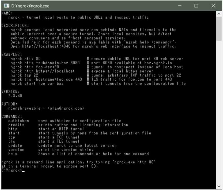 ngrokインストール方法と簡単な使い方 | mgo-tec電子工作