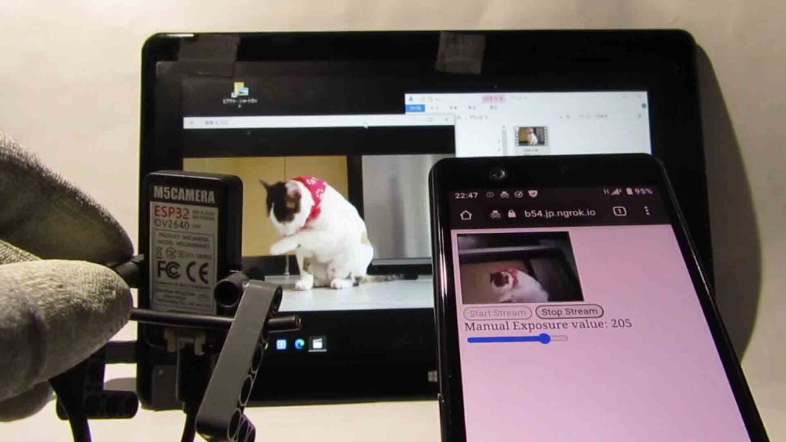 ngrokインストール方法と簡単な使い方 | mgo-tec電子工作